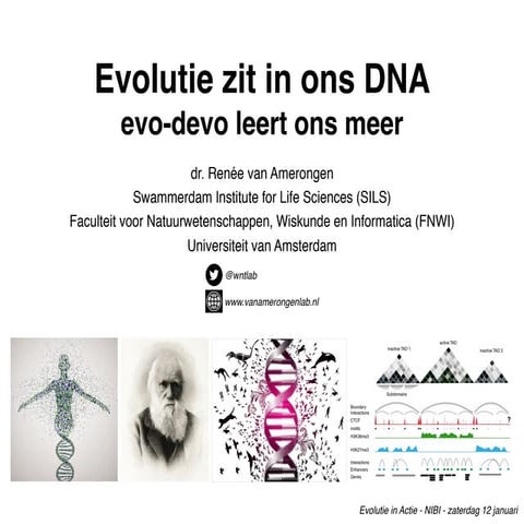 iL39 evolutie zit in ons DNA - Evo Devo leert ons meer - Renee van Amerongen | PPT