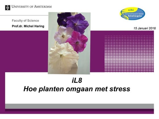 Handleiding Powerpoint presentatie - Model | PPT