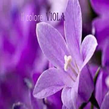 Il colore viola nella natura e nelle arti | PDF