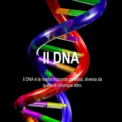 Il dna | PPT
