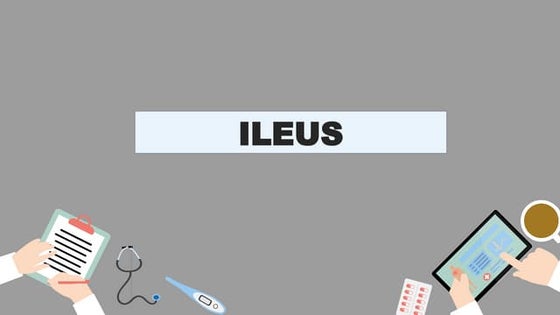 Obtruksi mekanik dan ileus.pdf