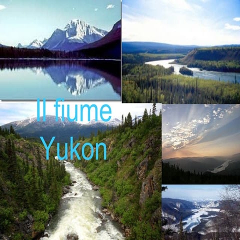 Il fiume Yukon Veronica Zama | PPT