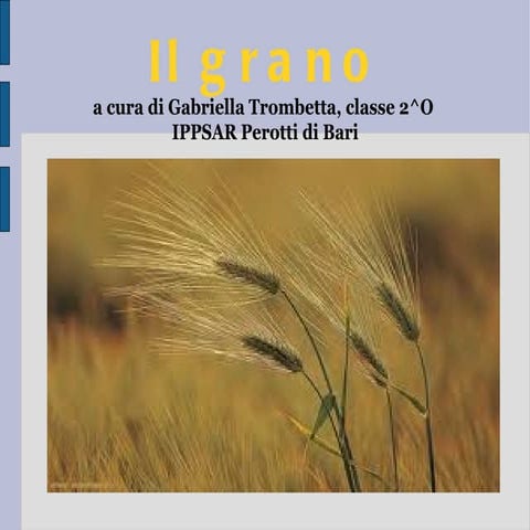 Il grano | PPT