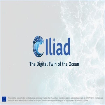 Operationalising OGC Processes with Application Packages in ILIAD: A ...