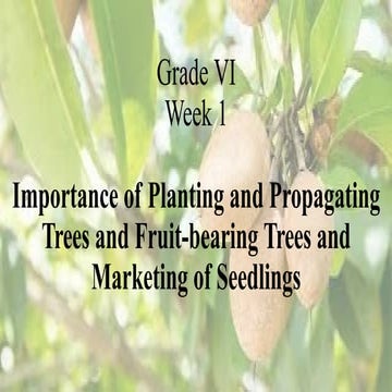 ilide.info-grade-vi-week-1-importance-of-planting-and-propagating-trees ...