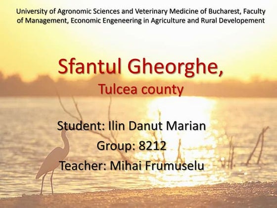 Wolmido island & cruise poster aug2015 | PDF