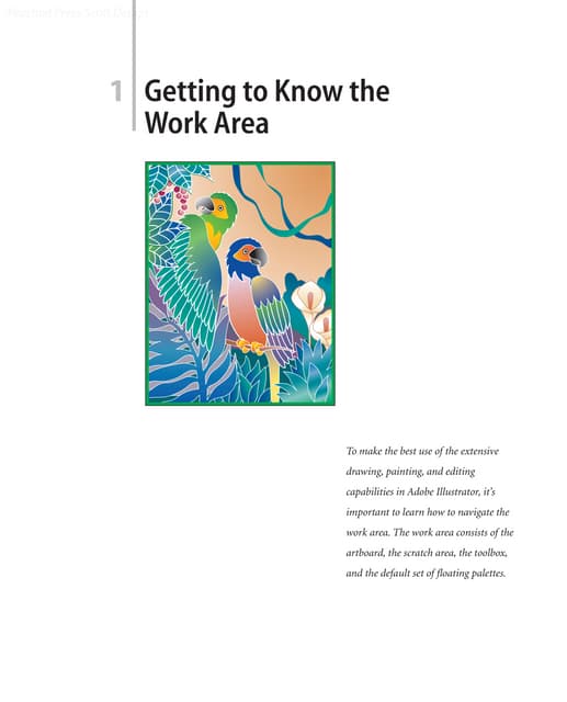 Learning Illustrator CS6 with 100 practical exercises | PDF