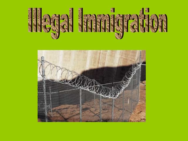 Immigration Powerpoint | PPT