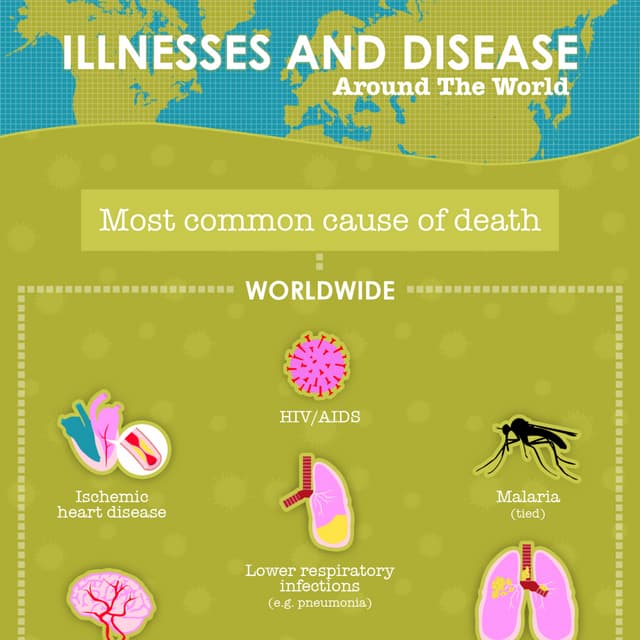 Illnesses Diseases of The World | PDF