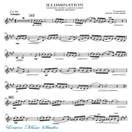 Illumination violin | PDF