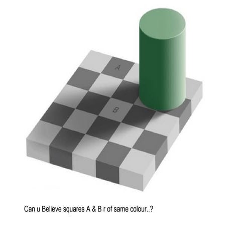illusions | PPT