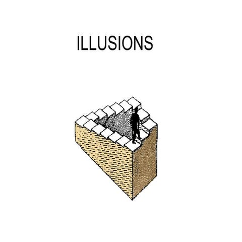 ILLUSIONS | PPT | Eye and Vision Conditions | Diseases and Conditions
