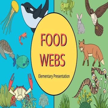 Illustrated Food Webs for Elementary Presentation.pptx