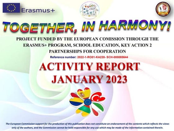 Illustrative activity report - March 2024 | PPT