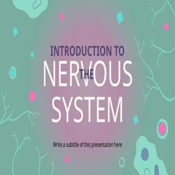 Illustrative Introduction to the Nervous System Slides.pptx