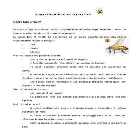 Il meraviglioso mondo delle api | DOCX