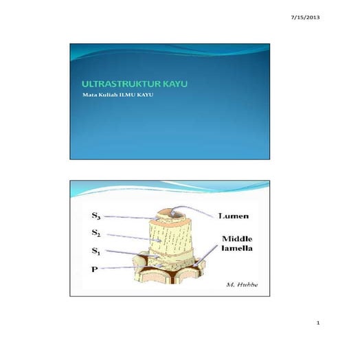 ILMU KAYU ULTRA STRUKTUR KAYU | PDF