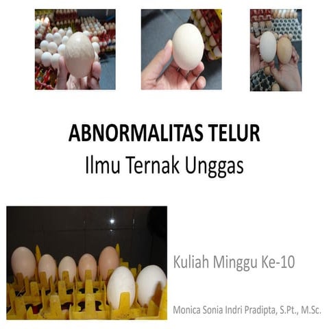 Ilmu Ternak Unggas 10 - Abnormalitas Telur.pptx