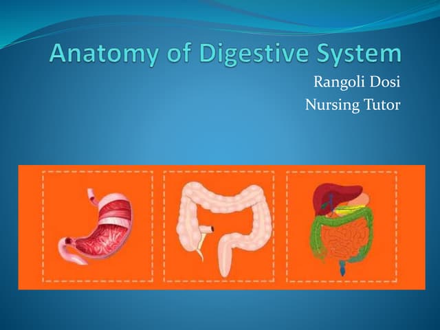 GASTROINTESTINAL TRACT LAYERS | PPTX