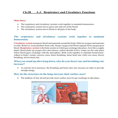 Gas exchange | PPT