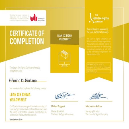 Lean Six Sigma Yellow Belt | PDF