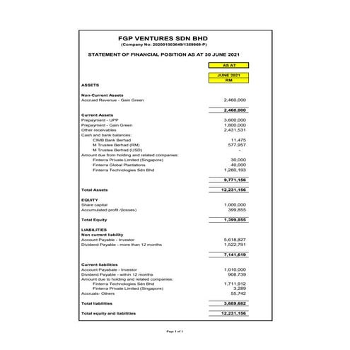 FGP VENTURES FINANCIAL PROJECTIONS FOR INVESTOR REVIEW | PDF