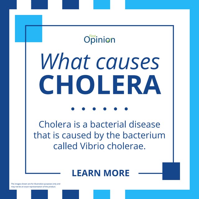 Causes of Cholera | PDF