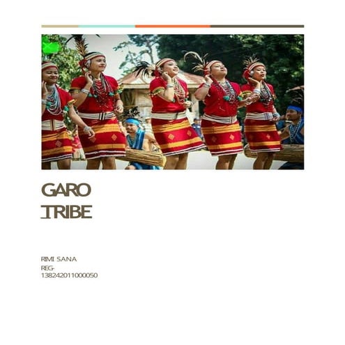 GARO TRIBE Collage project presentation BY RIMI SANA.pptx