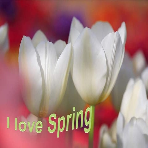 I love spring | PPS | Beekeeping | Hobbies & Interests