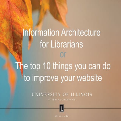 Information Architecture for Librarians or The top 10 things you can do ...