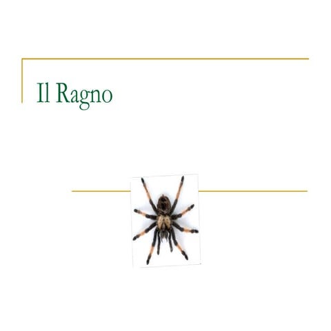 Il Ragno | PPT