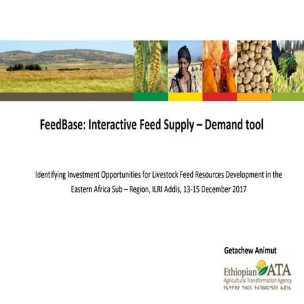 FeedBase: Interactive feed supply—Demand tool | PPTX | Agriculture ...