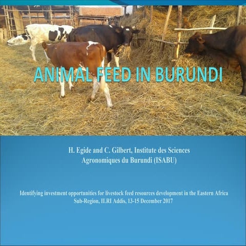Animal feed in Burundi | PPT