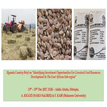 Animal feed in Burundi | PDF