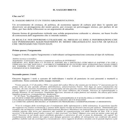 Il saggio breve | PDF