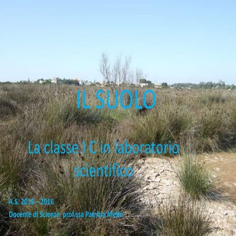Il suolo | PPTX