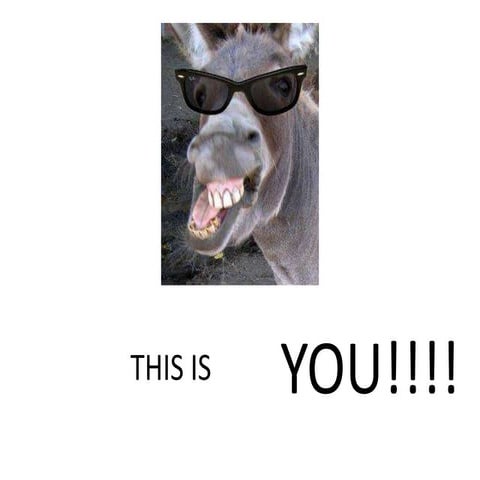 you are a donkey | PPT