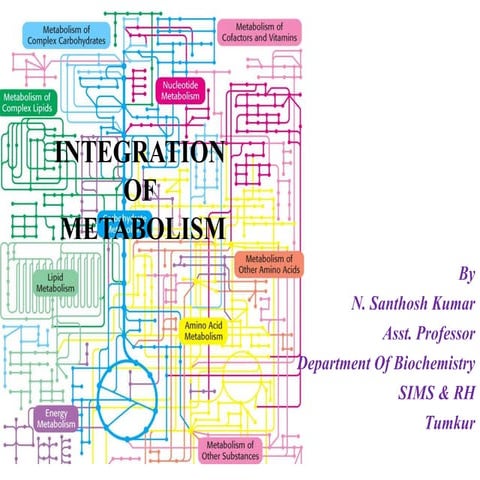 IM-02 Intigration of metabolism | PPTX