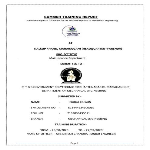 Summer Training Report | PDF