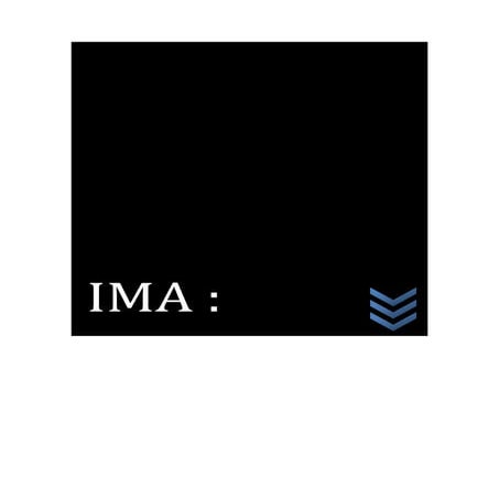 Ima 2010 pdf | PDF