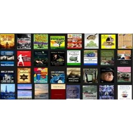 The Vanishing Half: A Novel | PDF