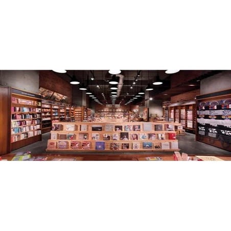 Switch: How to Change Things When Change Is Hard | PDF