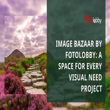 Image Bazaar by Fotolobby A Space for Every Visual Need Project.pptx