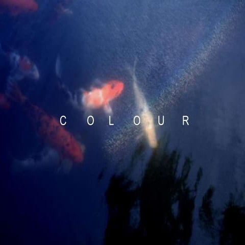 Image colour lecture | PPT | Design | Fine Art