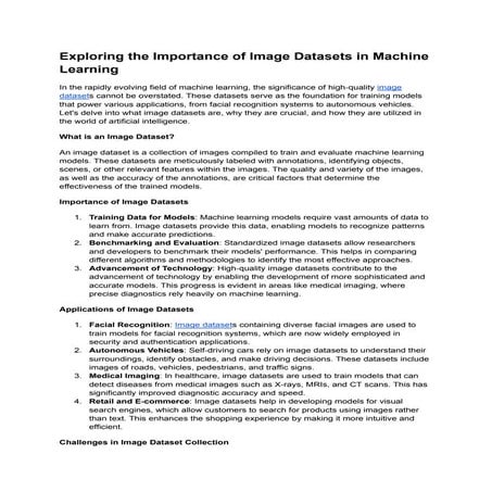 The Essential Role of Data Labeling Companies in the AI Revolution | PDF