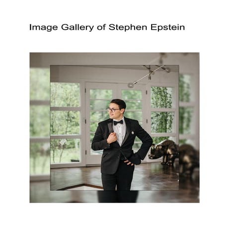 Image Gallery of Stephen Epstein.pdf