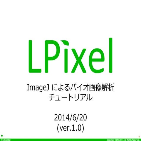 ImageJチュートリアル | PDF