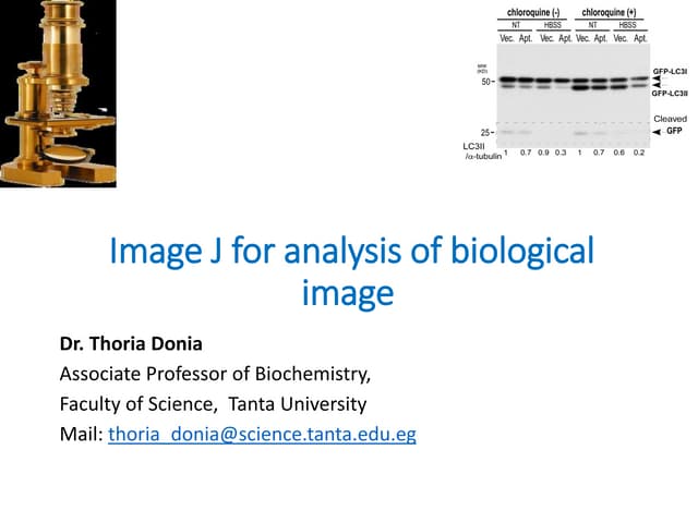 Image J for analysis of biological image and nanoparticle size ... Image J for analysis of biological image and nanoparticle size ...
