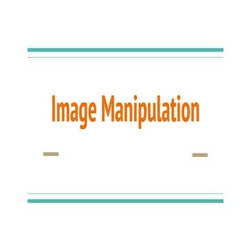 Image Manipulation Record | DOCX