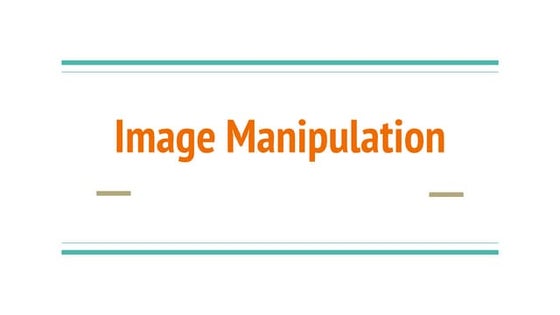 Image Manipulation Record | PDF